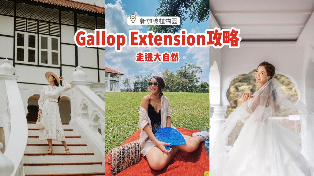 植物园Gallop Extension攻略🌳山脊小径+户外游乐设施+森林探秘馆+艺术画廊、走进大自然！ - 🇸🇬新加坡省钱皇后-皇后情报局